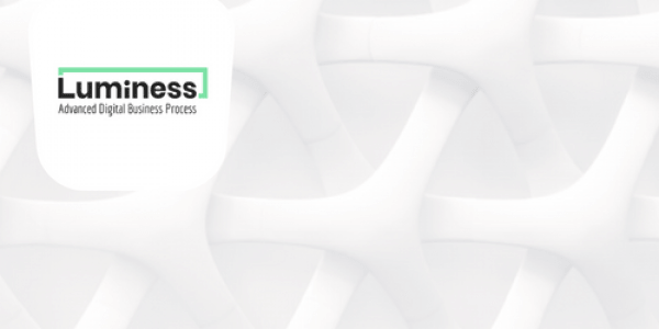 Vincent Favreau appointed Executive Director of Commerce | Luminess